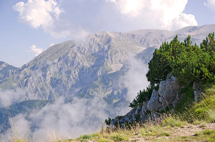 I 10 parchi naturali più belli in Italia: quali sono e dove si trovano