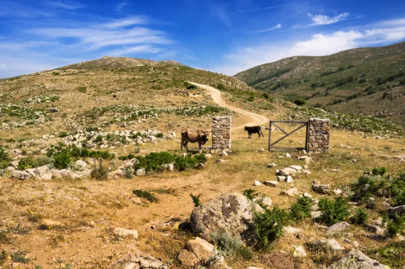 8 mete che non conosci dove andare in montagna d'estate in Sardegna