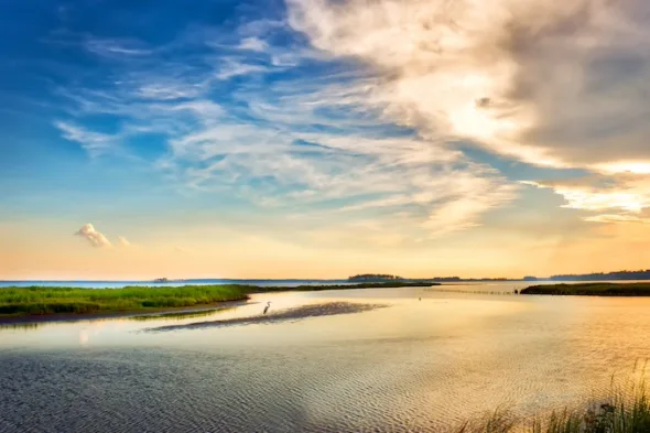 Holland Island, "l'isola che non c'è" inghiottita dall'acqua