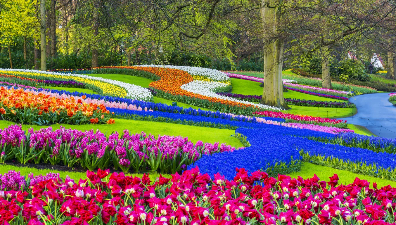 Tutte le differenze tra i giardini all'italiana, all'inglese e alla ...