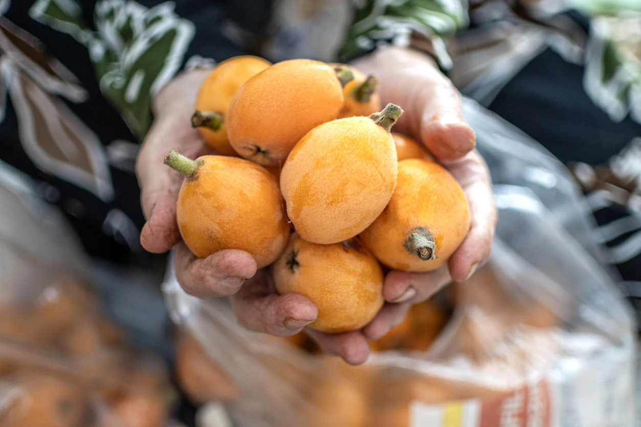 Come coltivare il nespolo per ottenere frutti dolci e succosi
